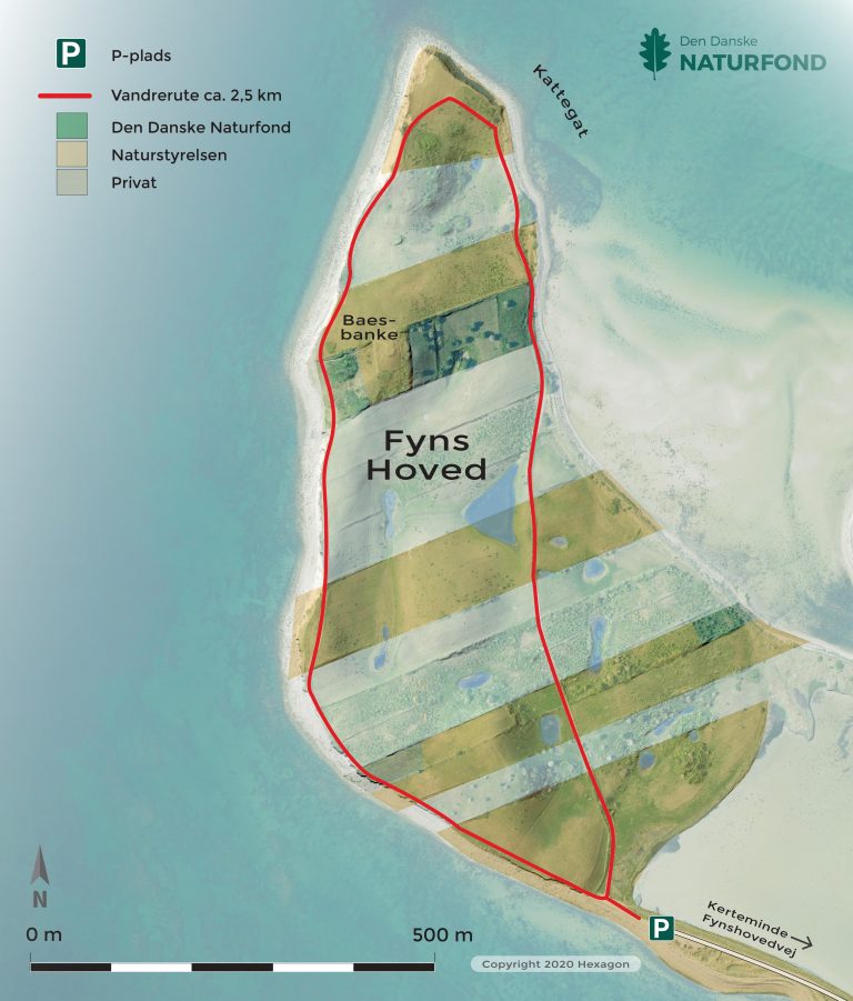Fyns Hoved | Smuk og vigtig natur på toppen af Fyn : Naturfonden