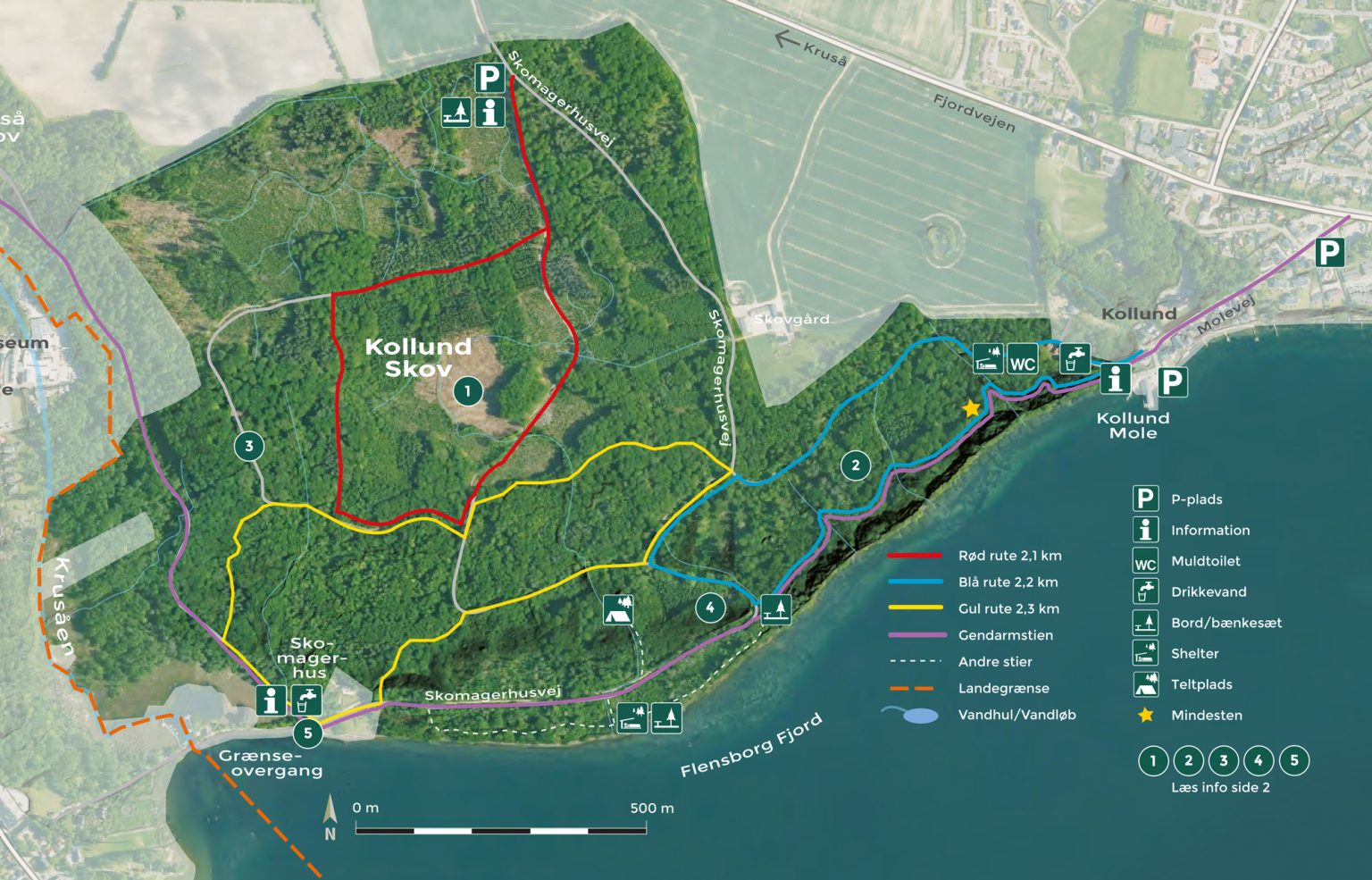Kollund Skov | Udforsk den smukke bøgeskov ved Flensborg Fjord ...