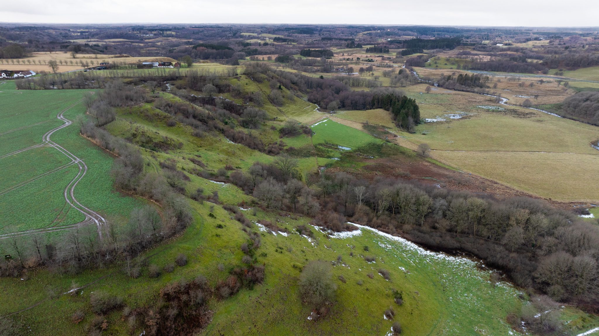 Nyt naturområde styrker biodiversiteten i den smukke Vejle Ådal ...